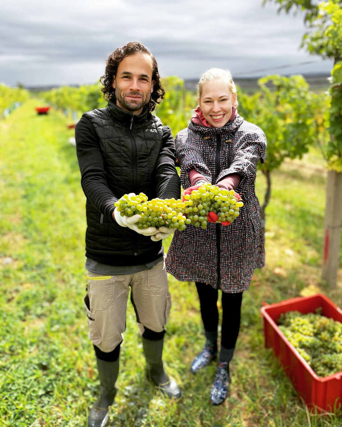 Martin Vajčner: Lidé začínají přemýšlet nad tím, co pijí, a to je dobře!