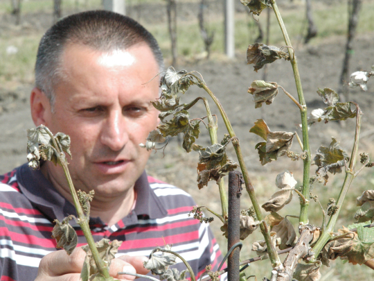 Nehoda u Citonic skončila tragicky