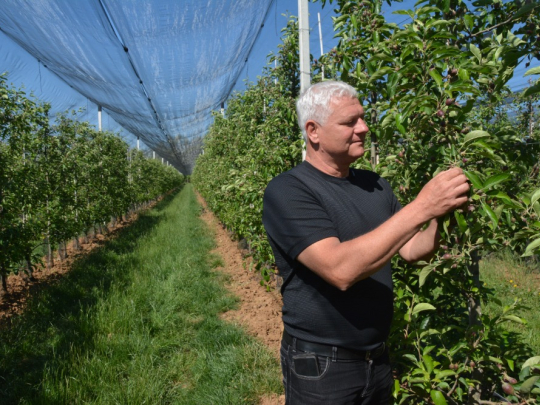 Kruhák opraví v květnu